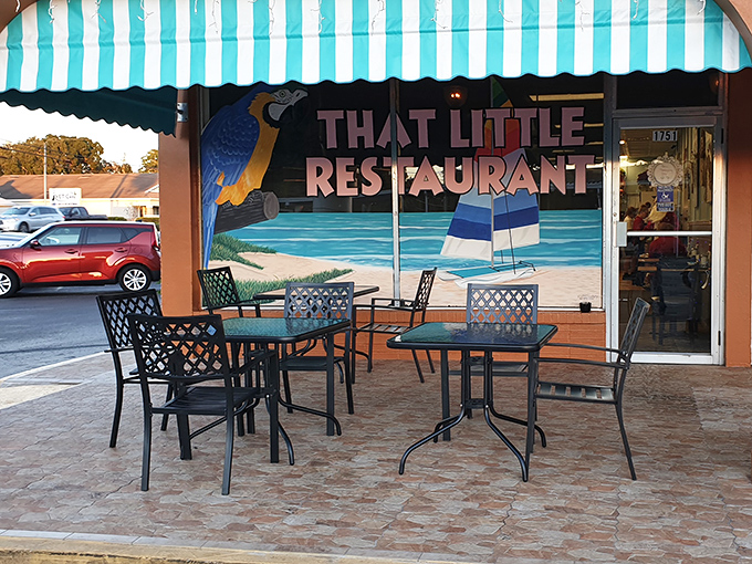 Outdoor seating where the Florida sunshine is a free side dish, served under awnings painted with tropical scenes that say "relax, you're on vacation time now."