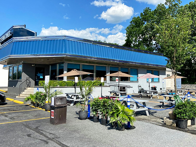 Summer dining al fresco &ndash; picnic tables and umbrellas offer a seasonal alternative to the indoor experience. Pennsylvania sunshine makes everything taste better.