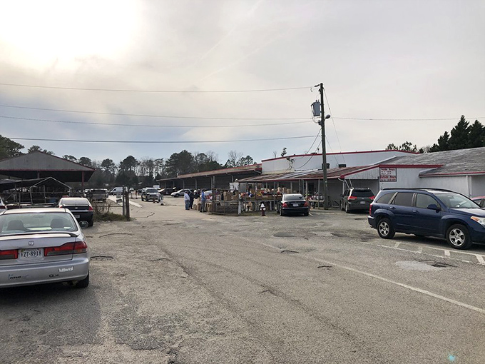 The parking lot hustle on a busy market day. Cars jockey for position while seasoned shoppers make beelines for their favorite vendors.