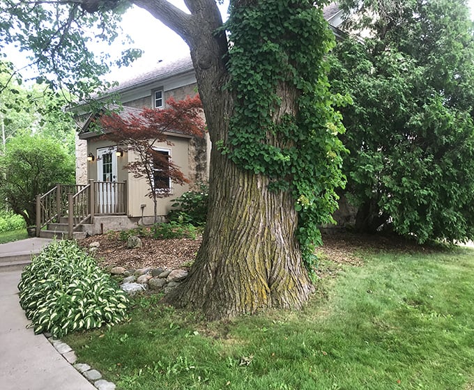 Nature doesn't just surround The Farmstead &ndash; it embraces it, with ivy-covered trees standing sentinel over this culinary hideaway in Cedarburg.