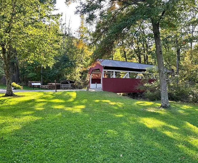 From this angle, the bridge looks perfectly at home in its landscape, like it grew there naturally alongside the trees.