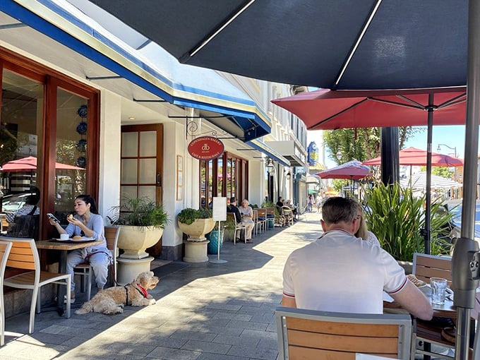 Sunshine, blue awnings, and outdoor tables create the perfect setting for pretending you're on vacation while just blocks from home.