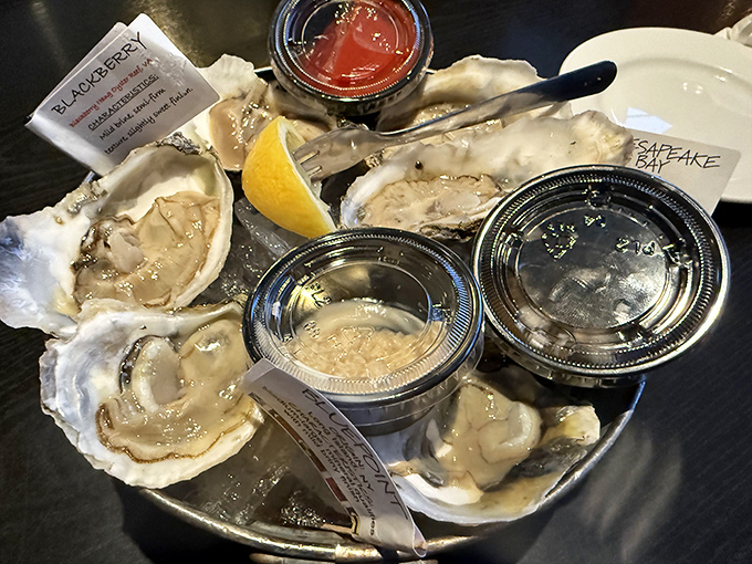 These oysters aren't just appetizers&mdash;they're briny little time machines to the ocean, served with classic accompaniments for those brave enough to slurp.