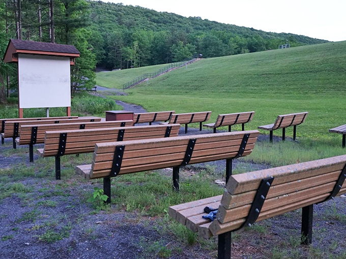 Nature's classroom awaits with wooden benches facing wilderness instead of whiteboards. The best lectures require no words at all.