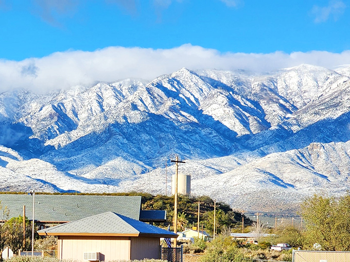 Snow-dusted mountains create a winter backdrop that few Arizona visitors expect &ndash; the desert's most beautiful contradiction.