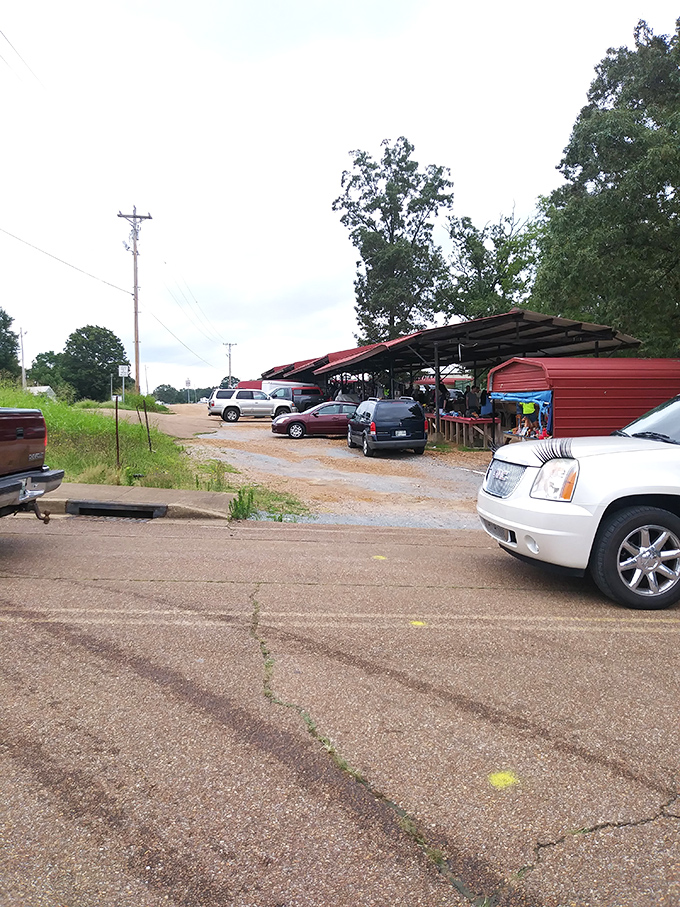 The parking area fills early on market days. Savvy shoppers know the unwritten rule: arrive with an empty trunk, leave with treasures spilling over.
