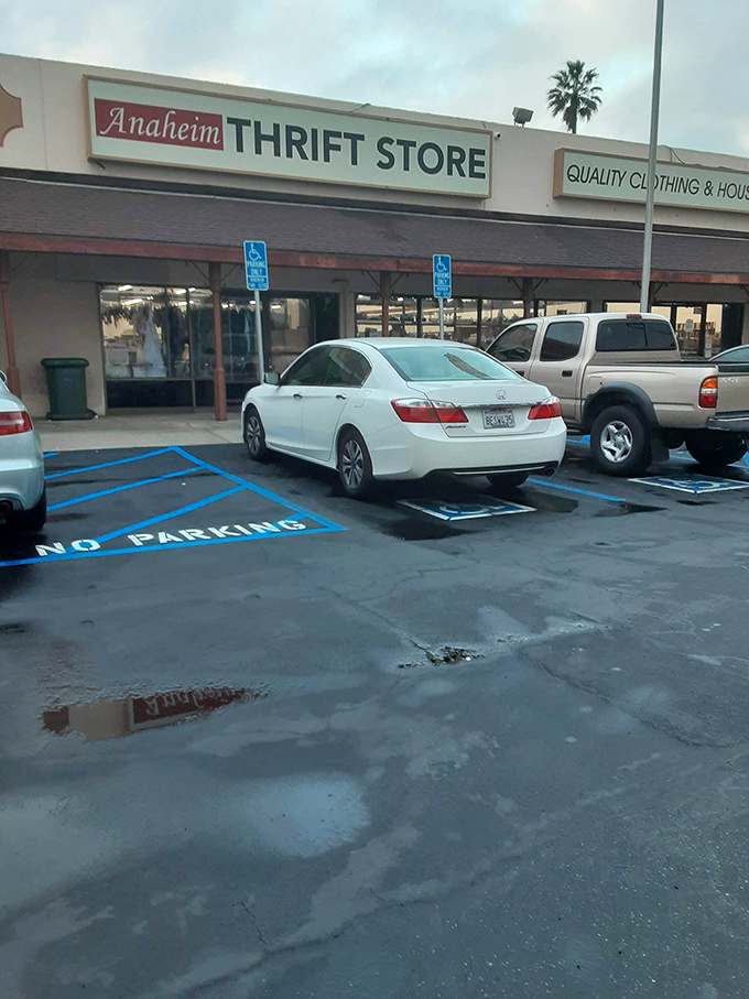 Even the parking lot speaks to the democratic nature of thrifting&mdash;luxury sedans beside practical pickups, united by the pursuit of bargains.