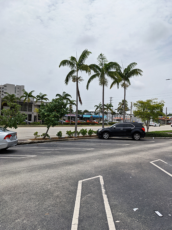 Palm trees and parking spots: the Florida setting for your next great sandwich adventure and food-induced happiness.
