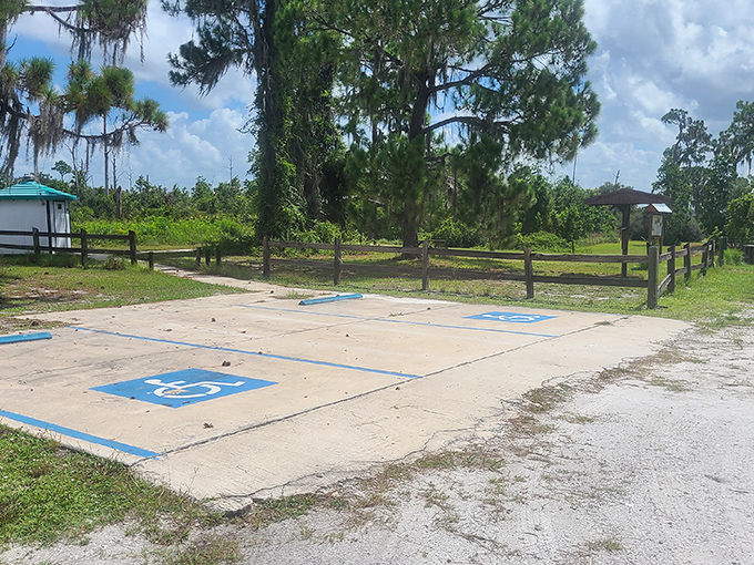 Accessible parking spaces surrounded by wilderness &ndash; civilization's modest footprint at the edge of ancient Florida ecosystems.