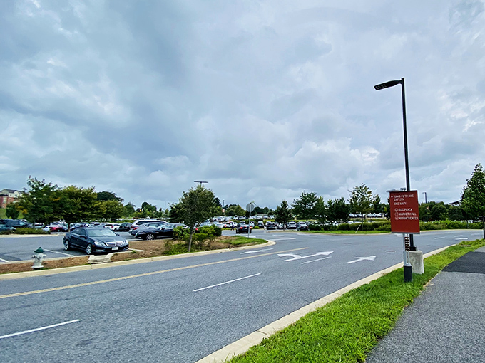 Even the parking lot feels optimistic, with spaces aplenty for the deal-seeking masses. Your car knows what's coming: a trunk full of bargains.