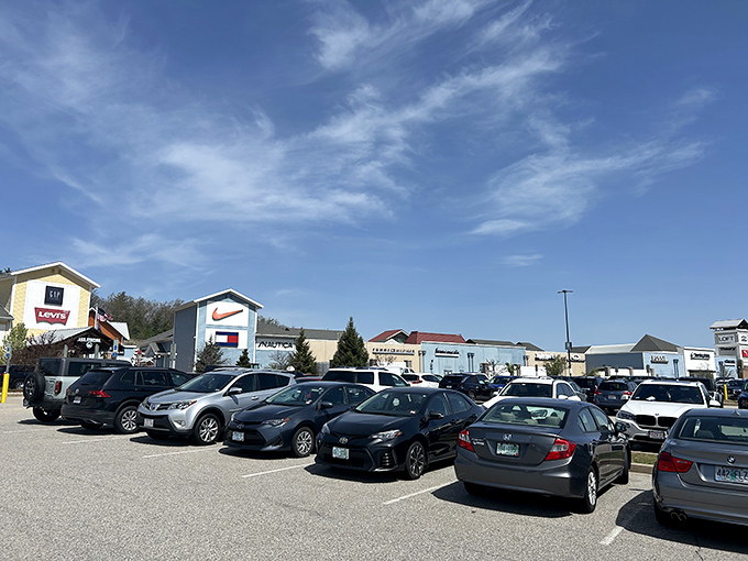A parking lot view that represents hope &ndash; each car contains empty trunk space just waiting to be filled with treasures from your shopping expedition.