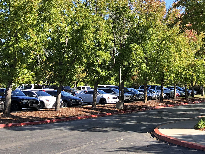 Shaded parking&mdash;nature's gift to hot California shoppers. These trees provide welcome relief for both cars and returning bargain-hunters.