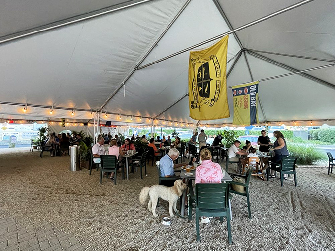 Outdoor dining under canvas where even four-legged friends are welcome. The gravel crunches underfoot like a maritime welcome mat.