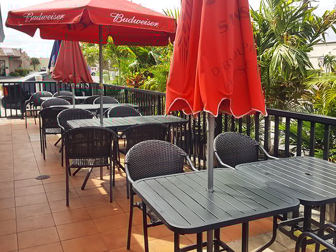 The outdoor patio offers the quintessential Florida dining experience: sunshine, palm fronds, and the promise of seafood worth sweating for.