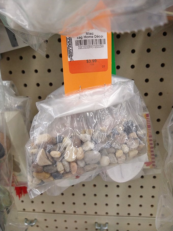 Even the smallest treasures get their moment&mdash;decorative pebbles for crafting or terrariums prove that thrift stores truly have everything under the sun.