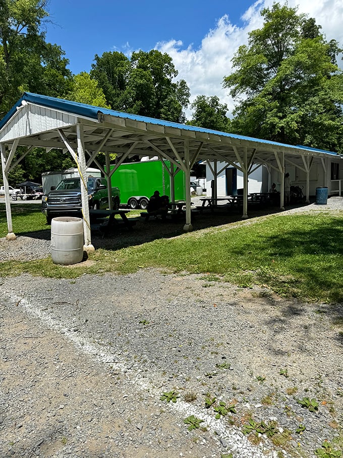 The market's covered pavilion provides welcome shade for vendors and shoppers alike during West Virginia's sunny summer days.