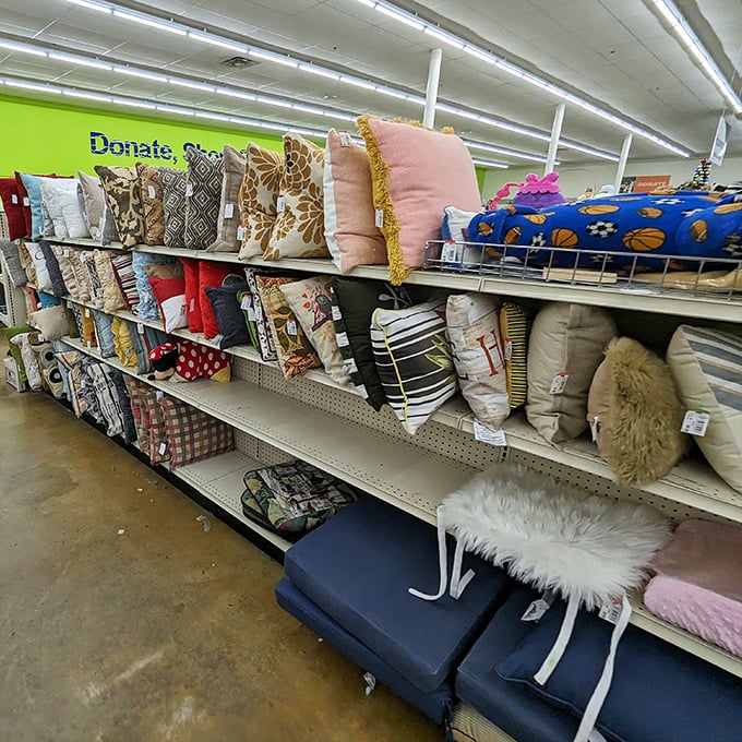 Pillow paradise! From frilly to furry, these cushions could transform your couch from "meh" to magazine-worthy without deflating your wallet.