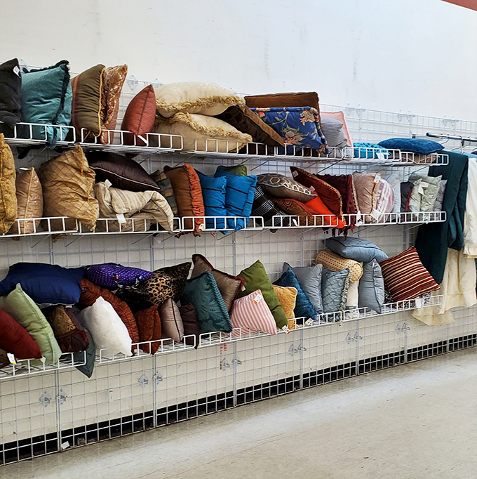 Pillow talk! These cushions have supported countless naps, movie nights, and living room forts&mdash;ready to bring comfort to your couch next.