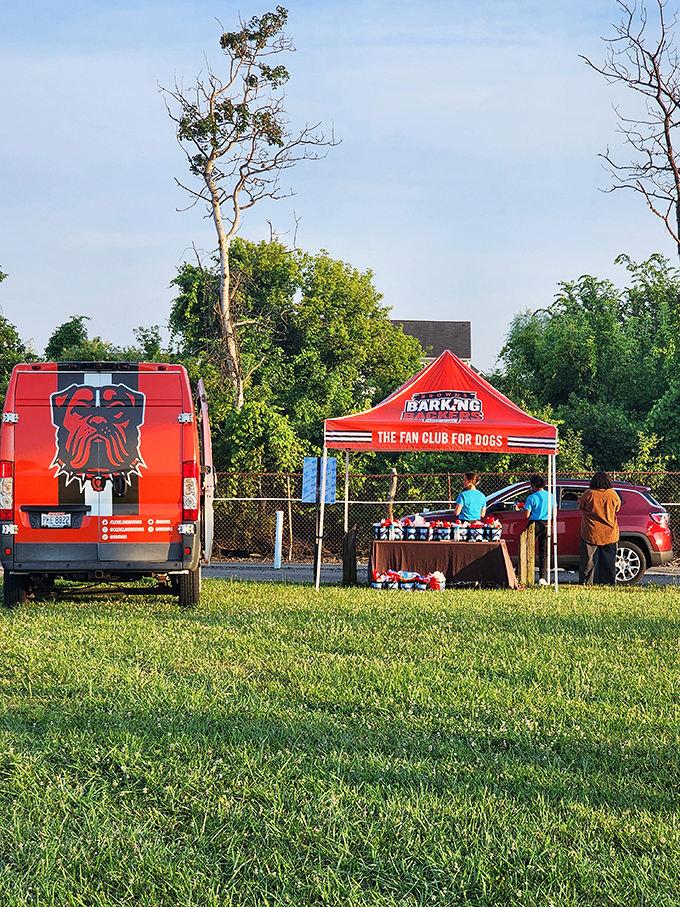 Even the Browns fans find time for cinema—tailgating skills perfectly transferable to the drive-in experience.