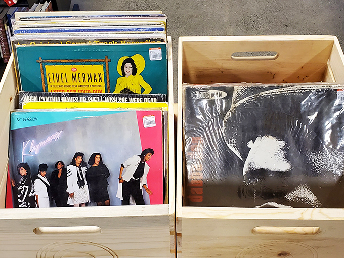Vinyl treasures for the taking! From Ethel Merman to 80s pop sensations, these albums are time machines disguised as plastic discs.