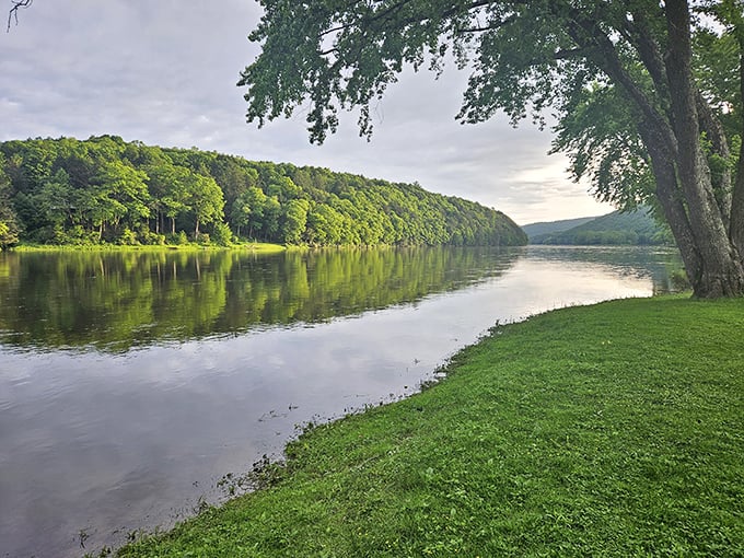 The Allegheny River flows like a ribbon through the forest &ndash; a liquid highway for kayakers and a mirror for the surrounding hills.