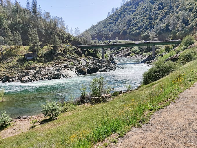 The rushing South Yuba River carved this spectacular canyon over millennia, creating the perfect setting for a bridge that's become a beloved landmark.