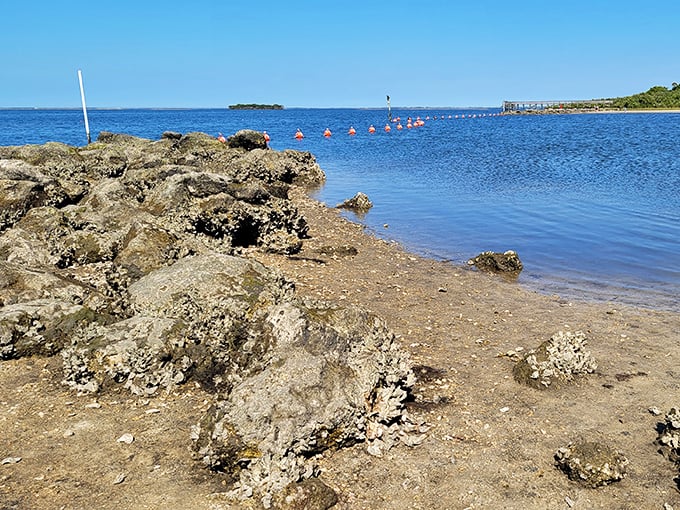 Nature's breakwater system looks rough around the edges, but that's precisely its charm&mdash;functional geology that creates perfect swimming coves.
