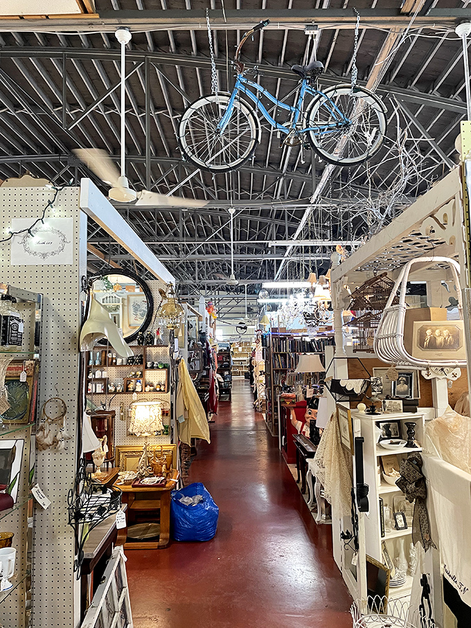 Look up! A vintage bicycle suspended from the ceiling watches over aisles of treasures. The red floor guides you through this carefully organized labyrinth of memories.