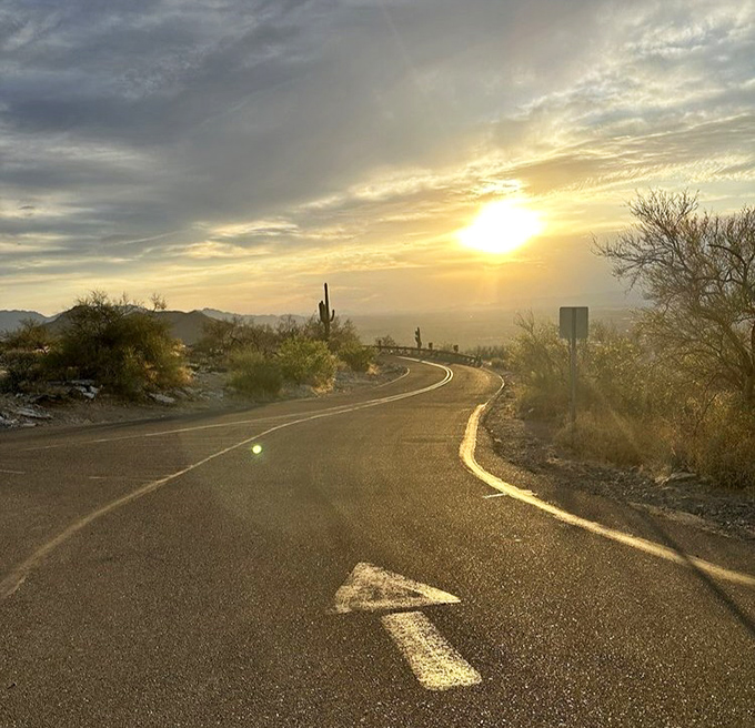 The road less traveled, but absolutely worth taking. Summit Road's curves promise adventure with every bend and saguaro silhouette.