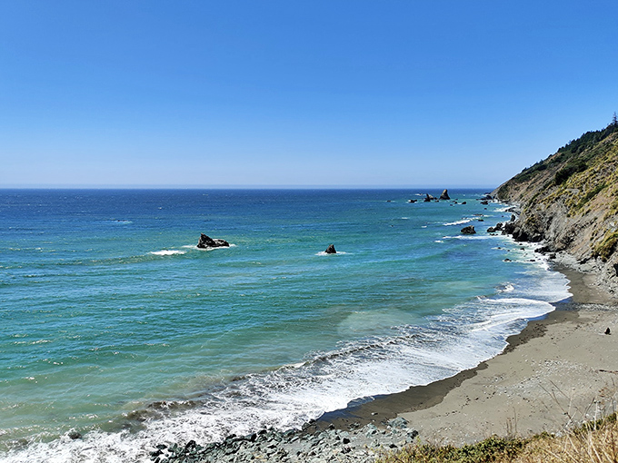 The nearby coastline offers a dramatic contrast to the forest's sheltered embrace. Ocean meets redwood country in a collision of California's most spectacular landscapes.