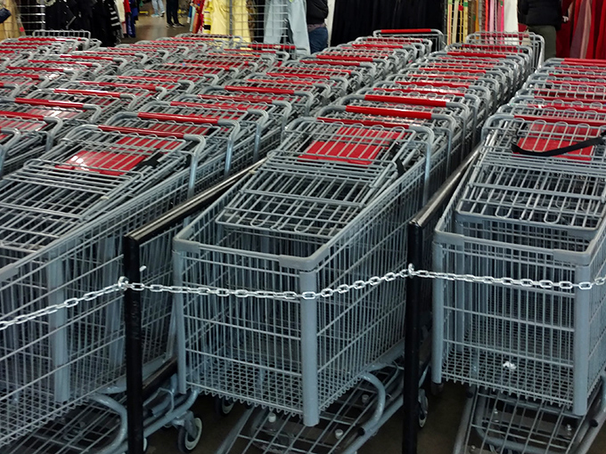 Shopping cart armada standing at attention, ready for thrift warriors to fill them with unexpected treasures.
