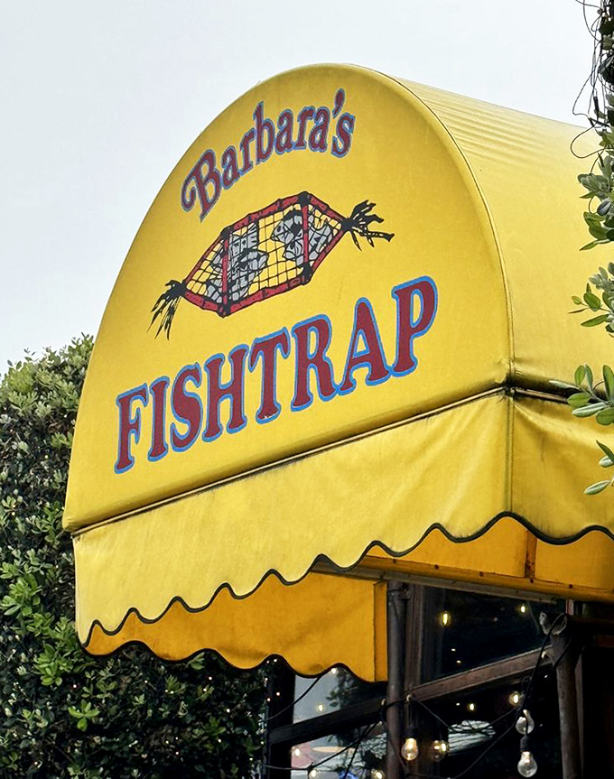 That yellow awning becomes even more iconic up close, the fishtrap logo a promise of the oceanic treasures waiting inside.
