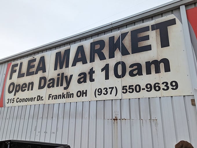 The banner announces daily treasure hunting opportunities at 10am. Your calendar just cleared itself mysteriously, didn't it?