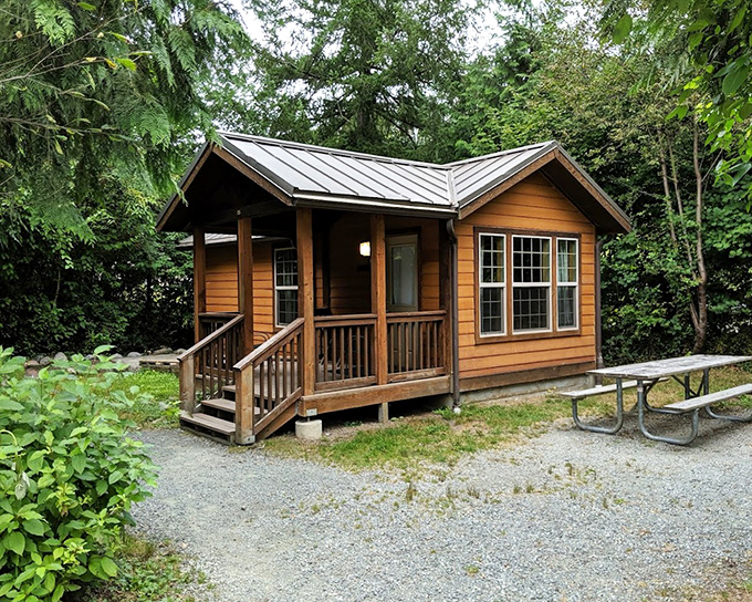 Rustic luxury awaits in these woodland cabins, where the picnic table outside might host both your breakfast and visiting wildlife.