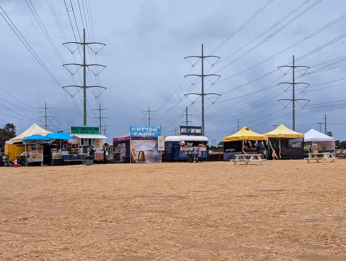 Food stands line up like a delicious gauntlet, daring you to leave without trying at least three different treats.