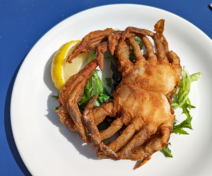 Soft-shell crab: nature's way of eliminating the middleman. This perfectly fried delicacy is the crustacean equivalent of "what you see is what you get."