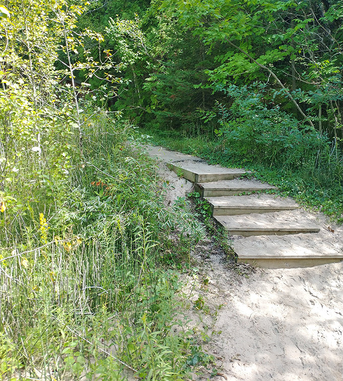These humble steps lead to something no architect could design: a perfect marriage of forest tranquility and lakeshore majesty.