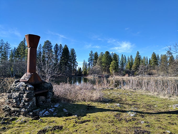 This rustic chimney stands as a reminder of human history amid nature's persistence &ndash; civilization's footprint slowly reclaimed by wilderness.