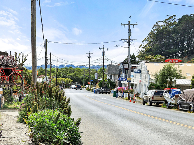 Main Street Stinson doesn't shout for attention—it murmurs invitations to slow your pace and notice details like flowers spilling onto sidewalks.