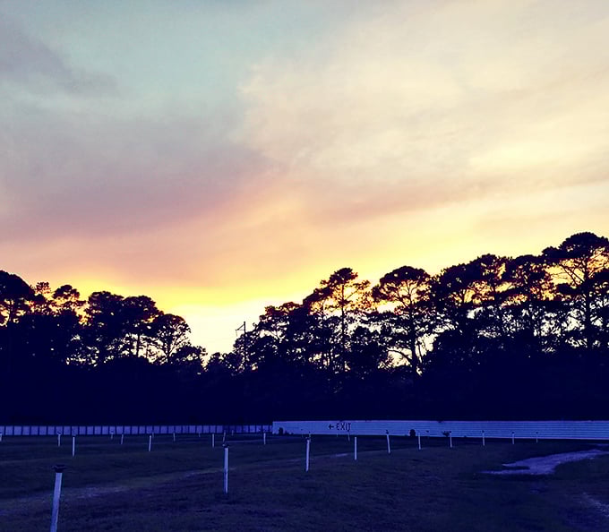 Nature provides the perfect backdrop as sunset signals showtime. God's own dimmer switch preparing us for cinematic adventures.