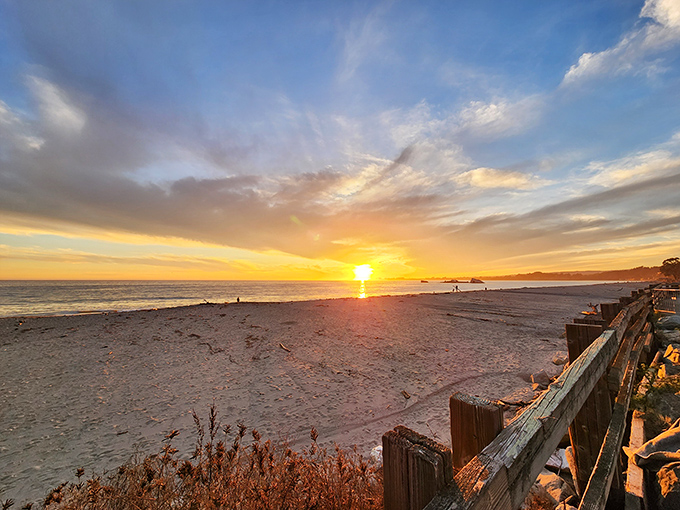 California's golden hour transforms Seacliff into a painter's palette of amber, rose, and lavender. Sunsets here make even amateur photographers look professional.