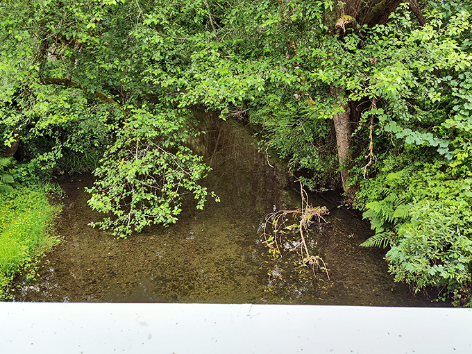 The gentle creek below flows at its own pace, unconcerned with the comings and goings of the world above its mirrored surface.