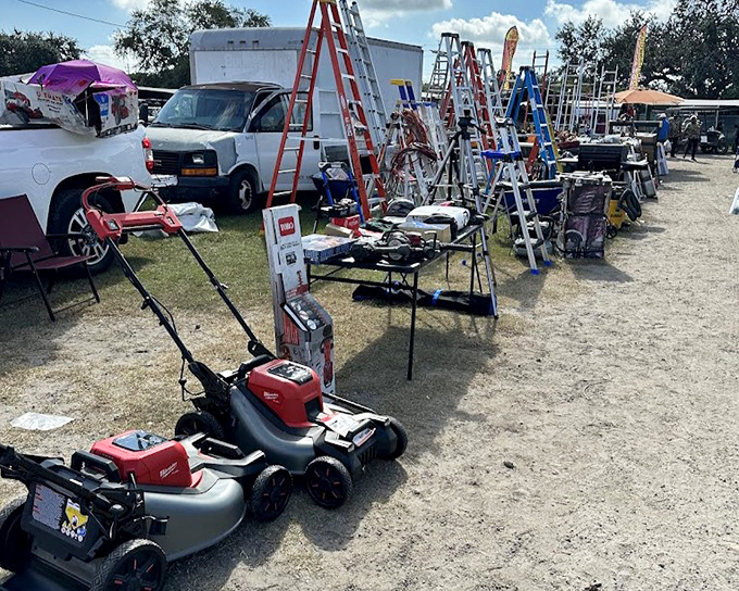 Lawn care lineup! These mowers and ladders stand at attention, ready to transform weekend warriors into neighborhood landscaping legends.