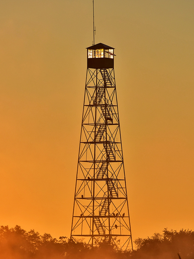 The fire tower rises dramatically against the sunset sky, standing sentinel over thousands of acres of protected wilderness below.
