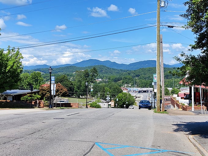 Franklin's streets lead directly to mountain views, a constant reminder that nature isn't just a weekend destination but your everyday backdrop.