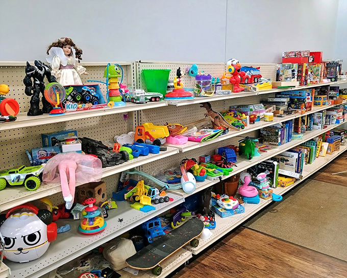 Toy story indeed! From dolls to dinosaurs, these shelves are where forgotten playthings hope for their second act with a new child.