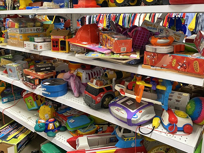 Toy paradise where plastic treasures await. One child's outgrown plaything becomes another's birthday miracle in this colorful jumble of joy.