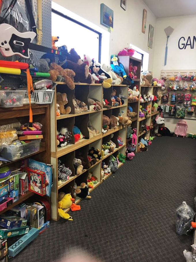 The stuffed animal adoption center, where plush friends wait patiently for new homes. That teddy bear has seen some things but still has plenty of hugs left.