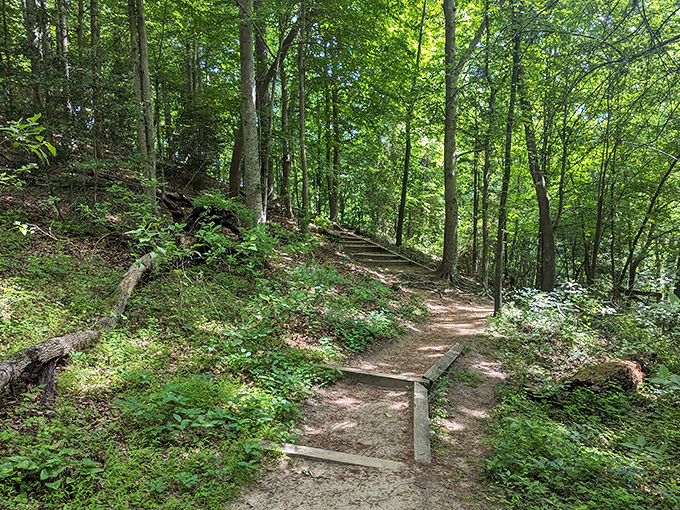 Nature's stairmaster! These rustic steps lead hikers through sun-dappled woods to rewarding views of the park's diverse landscapes.