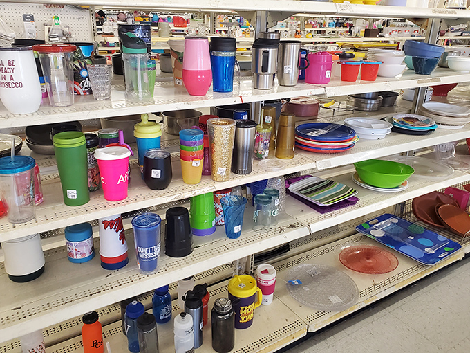 Tumblers in every color imaginable, because staying hydrated shouldn't cost more than your monthly streaming subscriptions combined.